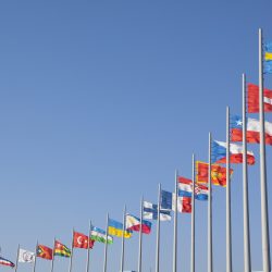 International Policy & Conventions - UNEP-WCMC