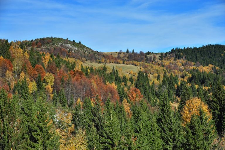 Screening for Critical Habitat – new publication and global-scale data ...