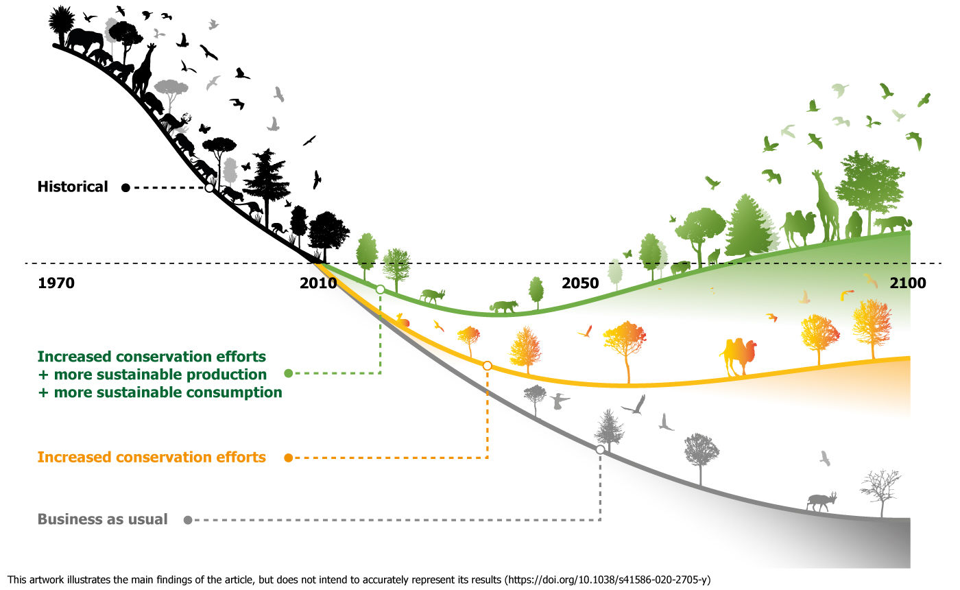 Strategy for halting and reversing biodiversity loss revealed - UNEP-WCMC