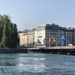 CITES Conference strengthens international trade regime for wildlife ...