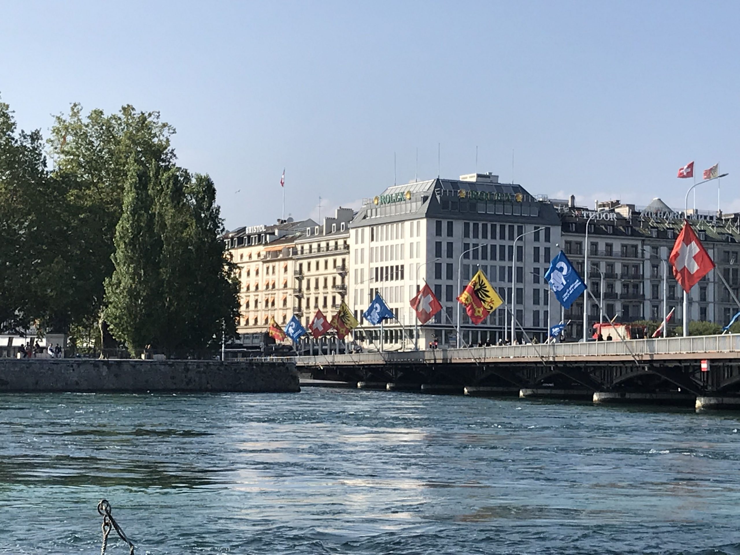 CITES Conference strengthens international trade regime for wildlife ...