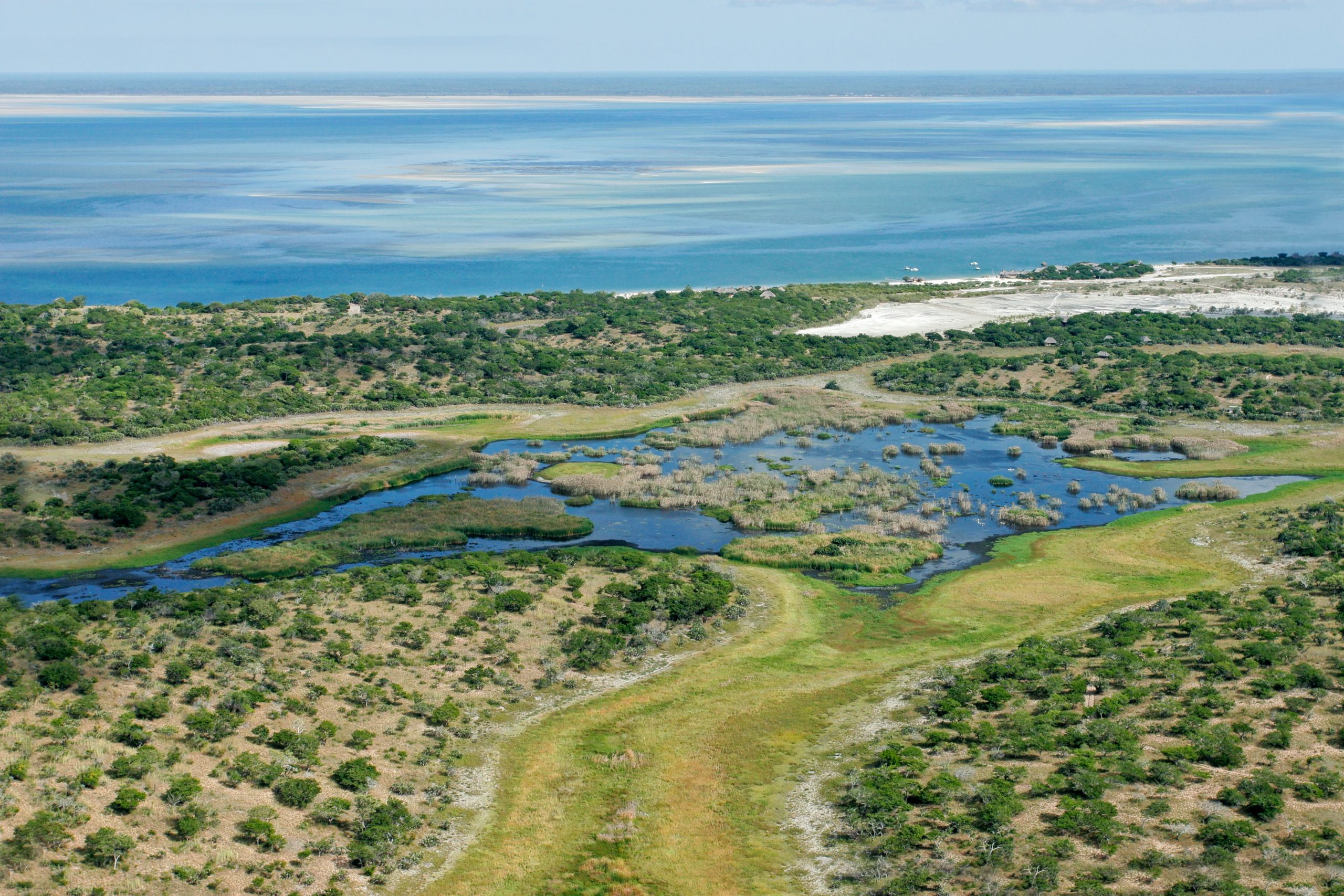 Global coastal wetlands need to move inland in fight against climate ...