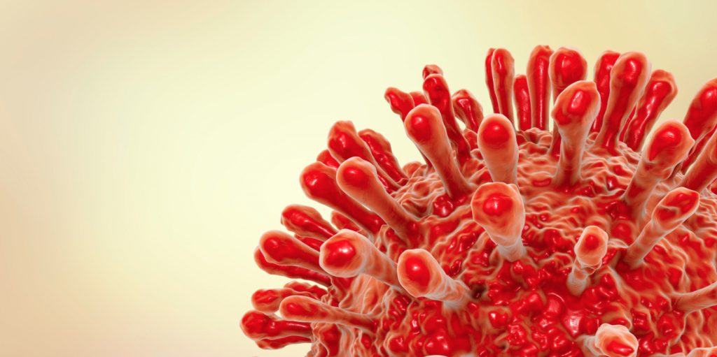 Zoonotic Diseases: What we need to do next - UNEP-WCMC