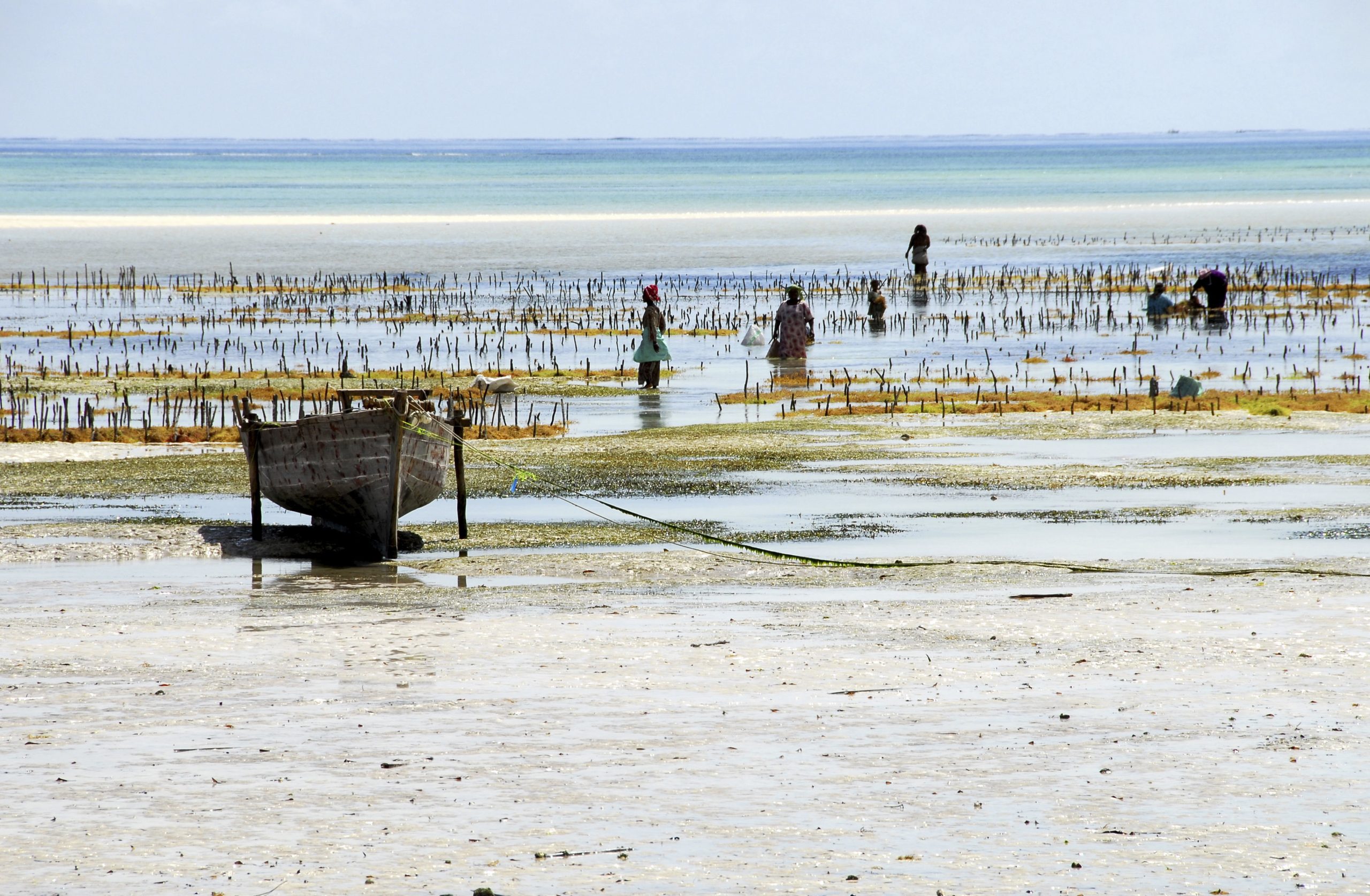 Helping coastal communities adapt to climate change - UNEP-WCMC
