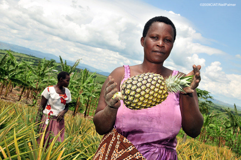Accounting for nature in tackling poverty - UNEP-WCMC