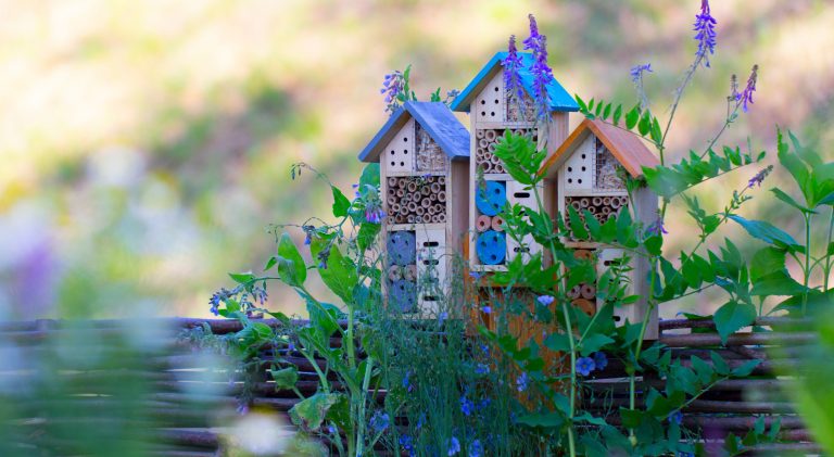 How We Work - UNEP-WCMC