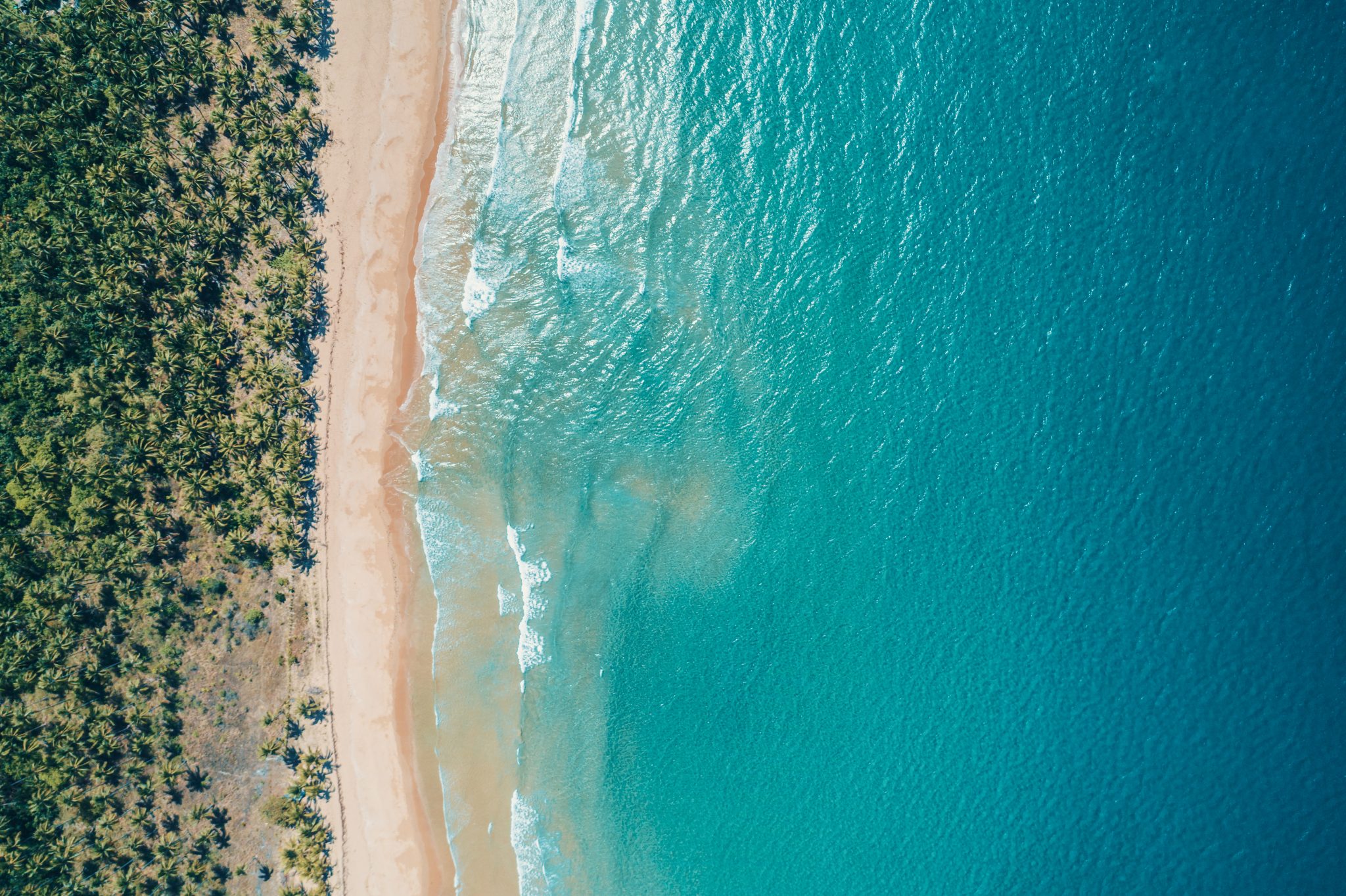 Ocean Recovery - UNEP-WCMC