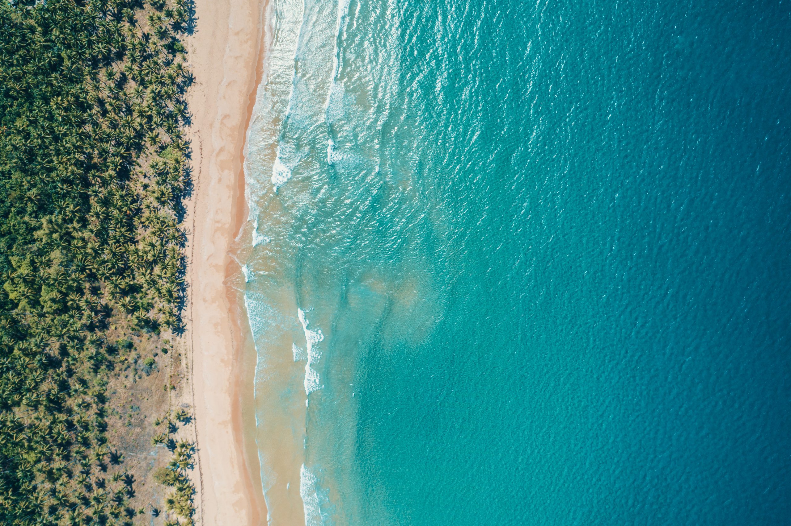 Ocean Recovery - UNEP-WCMC