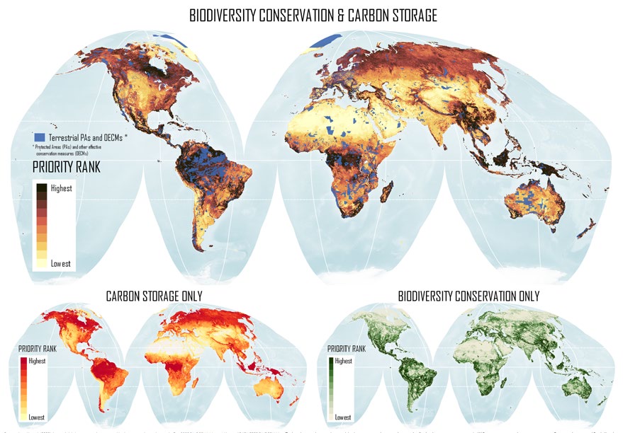 Research reveals benefits of joint action on climate and nature - UNEP-WCMC