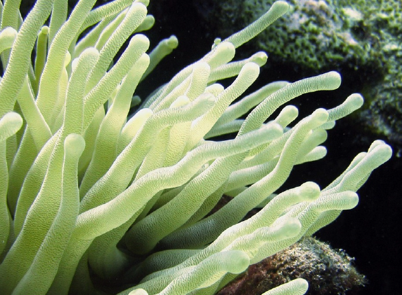 Current Vacancies - UNEP-WCMC