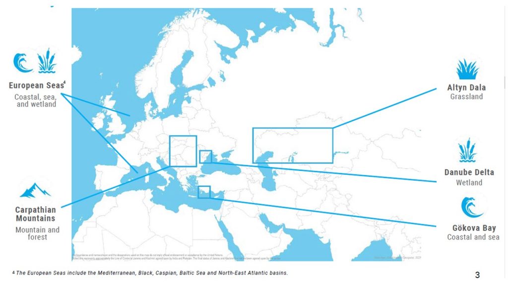 Bringing nature back: new report showcases five powerful European ...