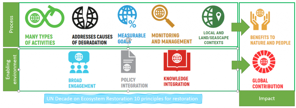 Bringing nature back: new report showcases five powerful European ...