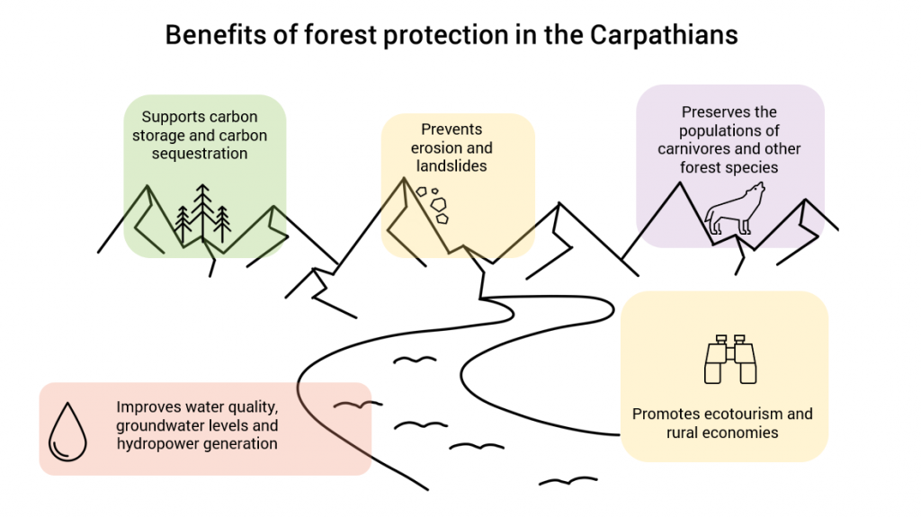 Bringing nature back: new report showcases five powerful European ...