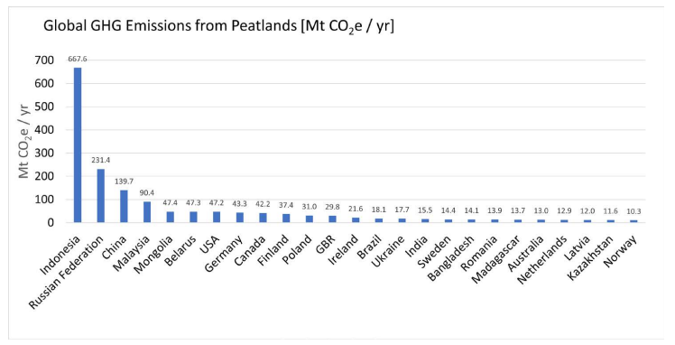 Peatlands matter: how the Global Peatlands Assessment can drive ...