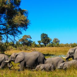 Celebrating partnerships for conservation - UNEP-WCMC