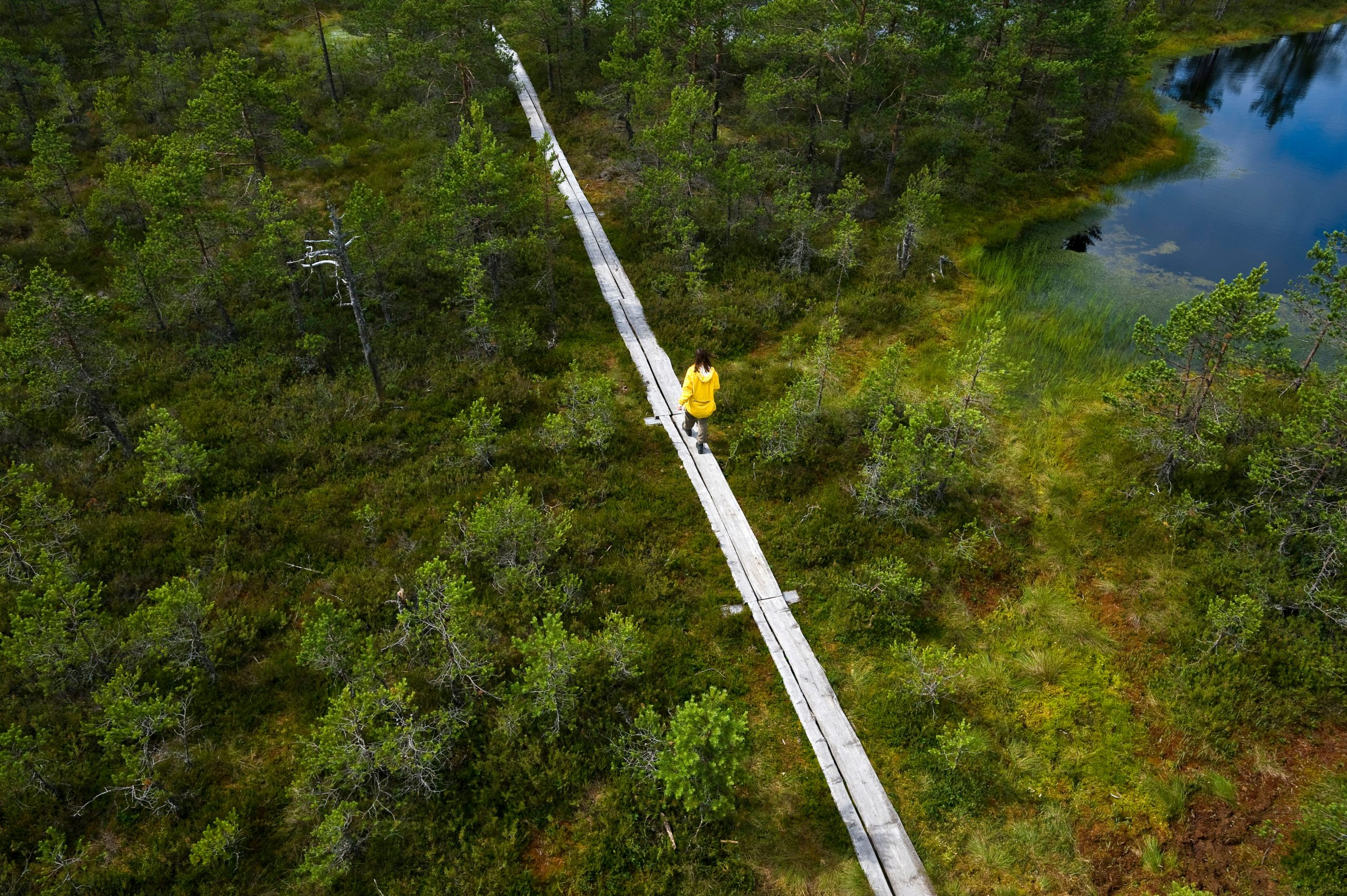 Nature-Based Solutions - UNEP-WCMC