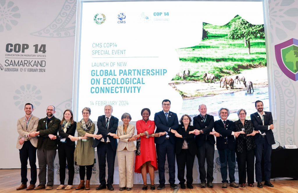 CMS COP14: Optimism for migratory animals, if the world scales up ...