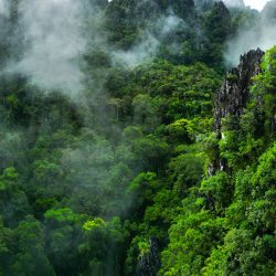 Agri-businesses can achieve sustainability outcomes with landscape ...