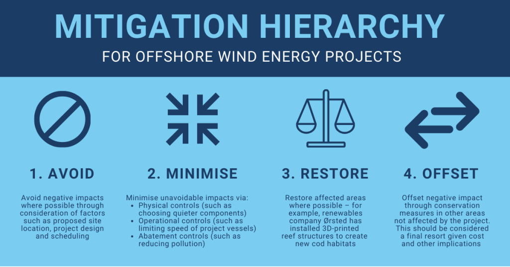 How offshore wind projects can affect marine migratory species - UNEP-WCMC