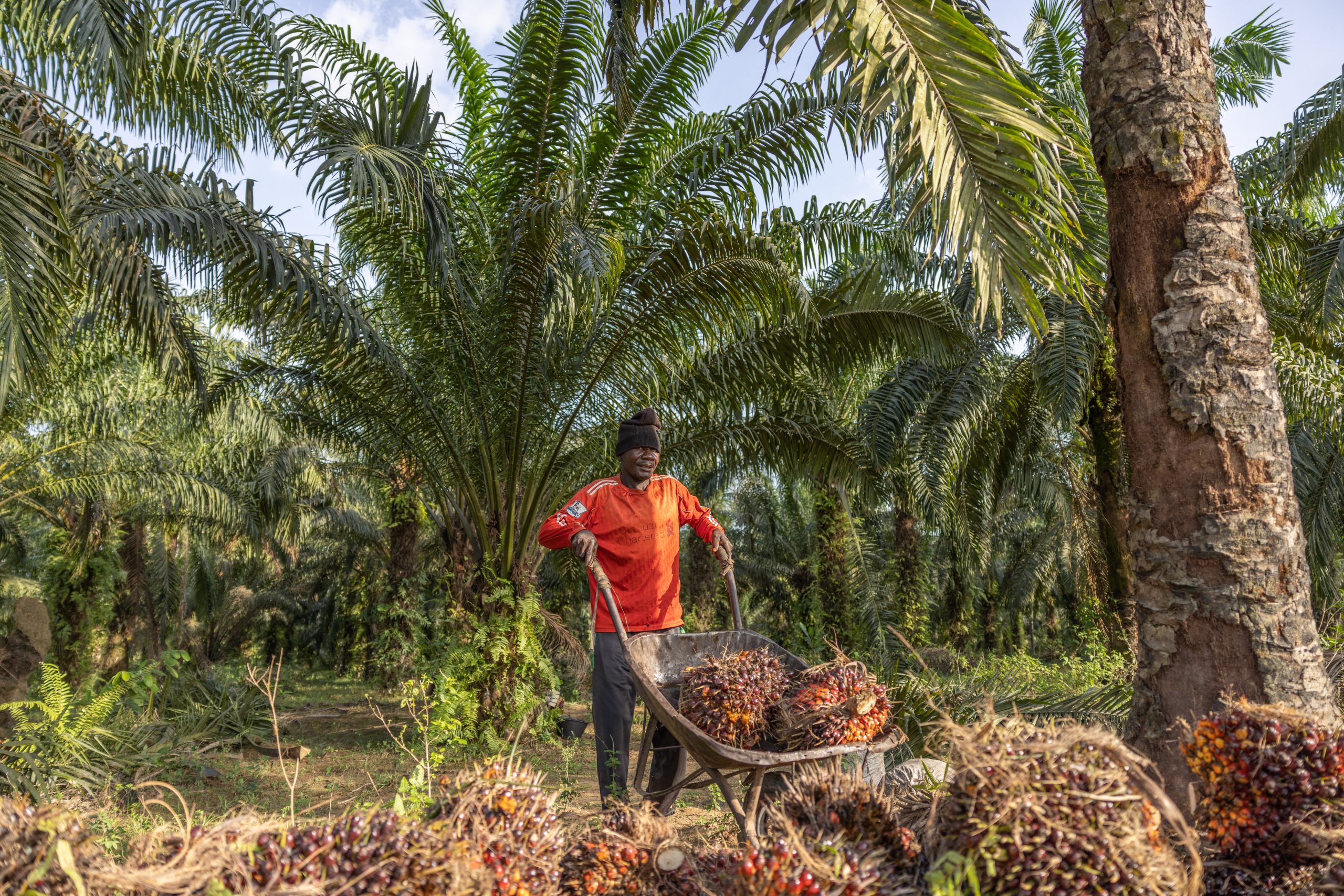 How to safeguard human well-being across supply chains - UNEP-WCMC