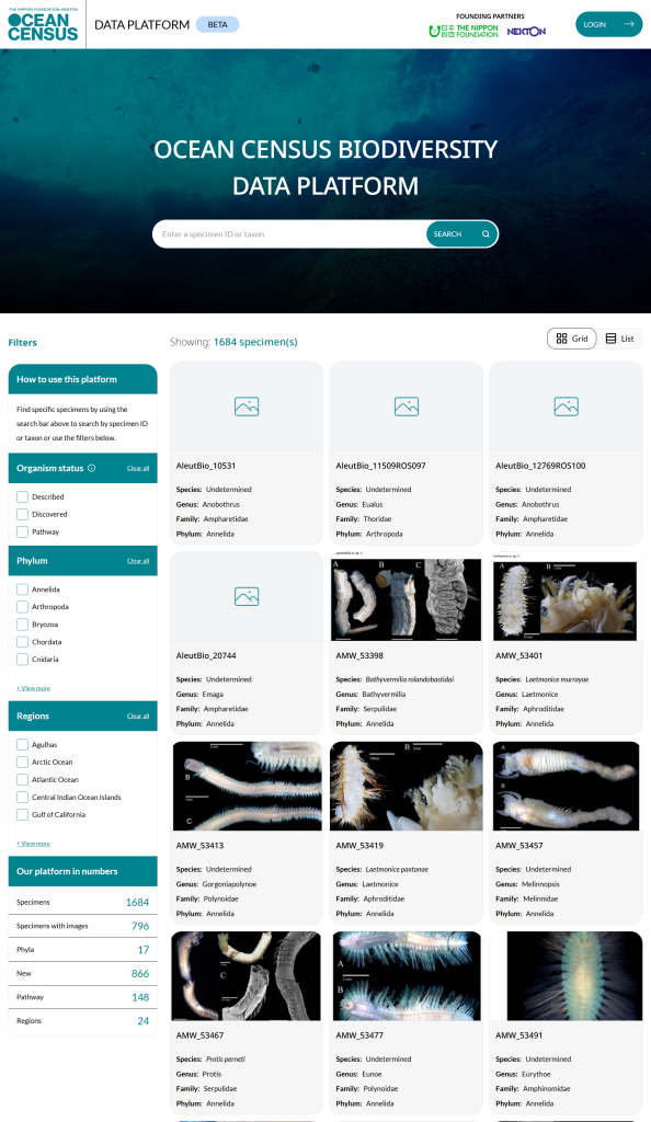 Over 850 new marine species discovered by the Ocean Census - UNEP-WCMC