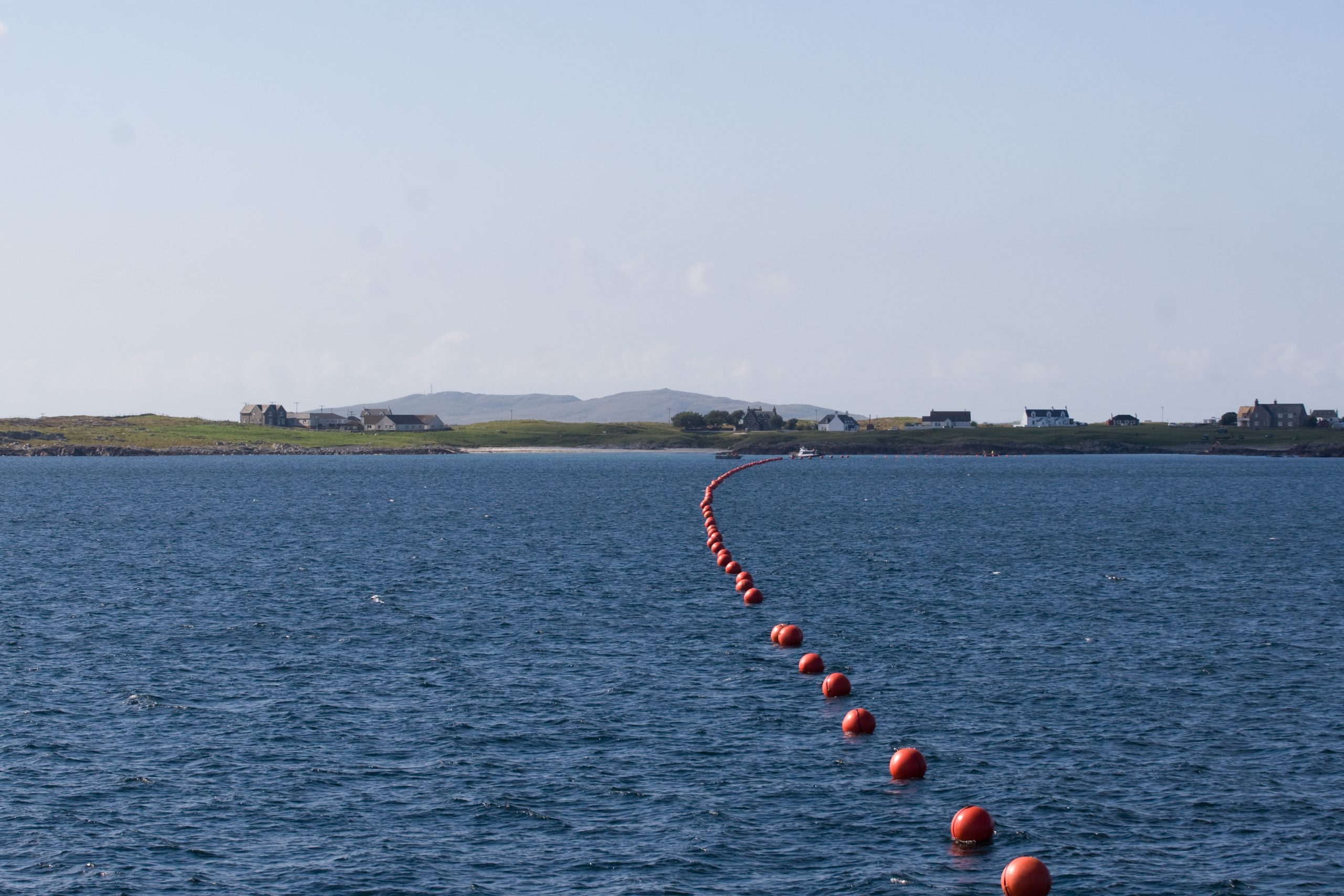 Keeping connected: submarine communications cables and ocean life ...