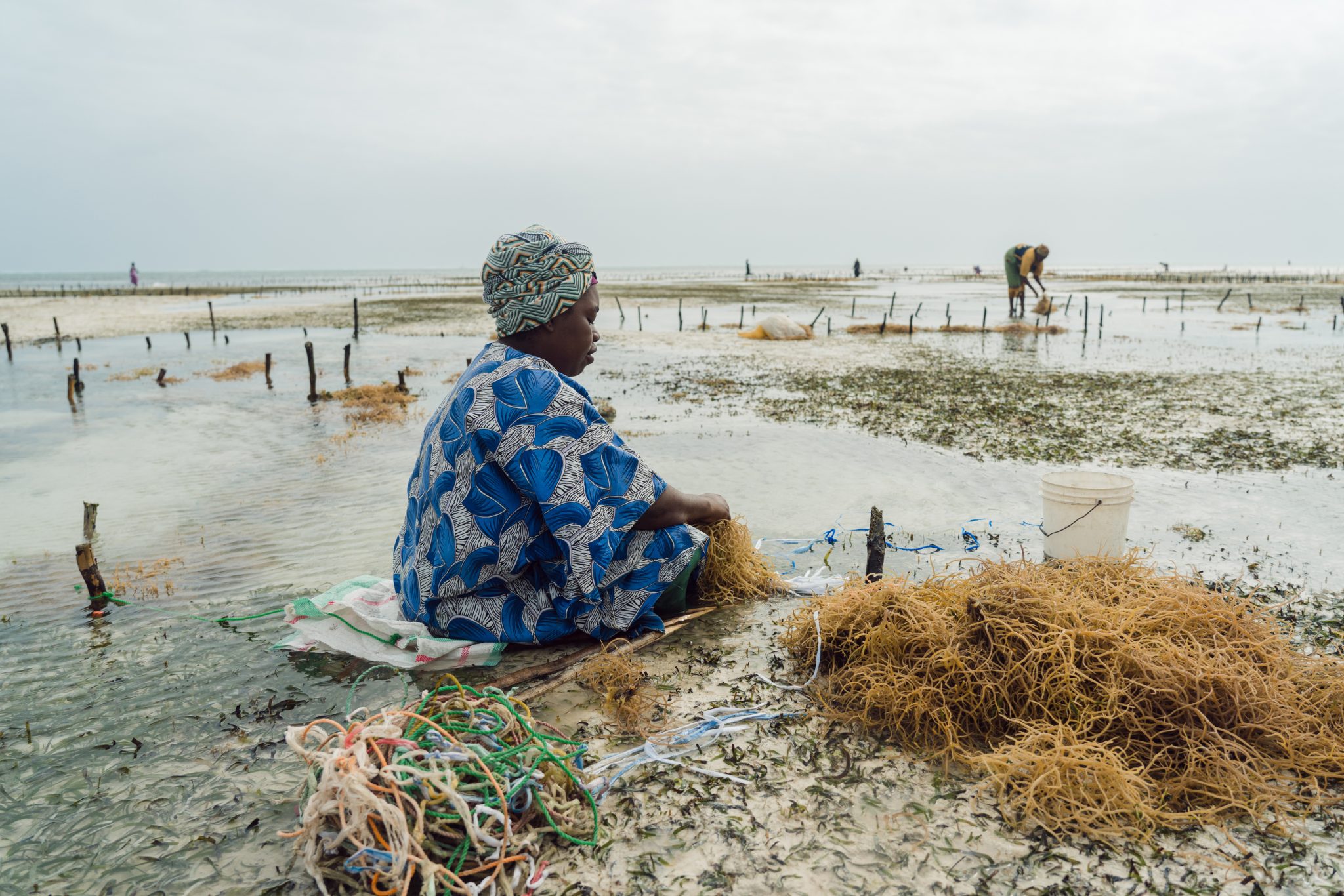 Why nature is integral to sustainable development - UNEP-WCMC