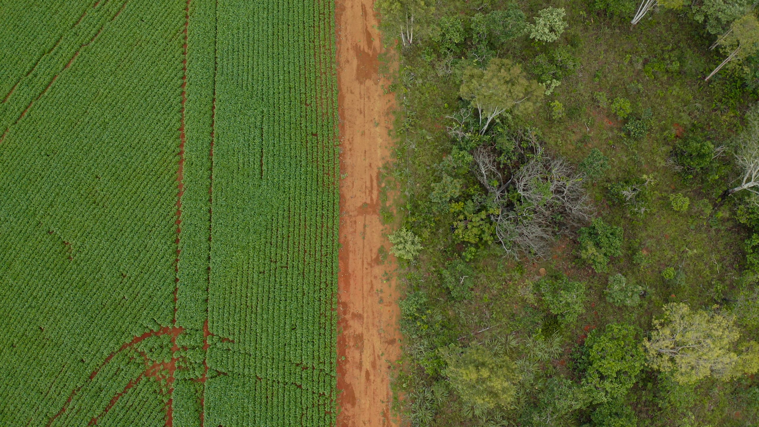 TRADE Hub advanced sustainable agricultural commodity supply chains ...